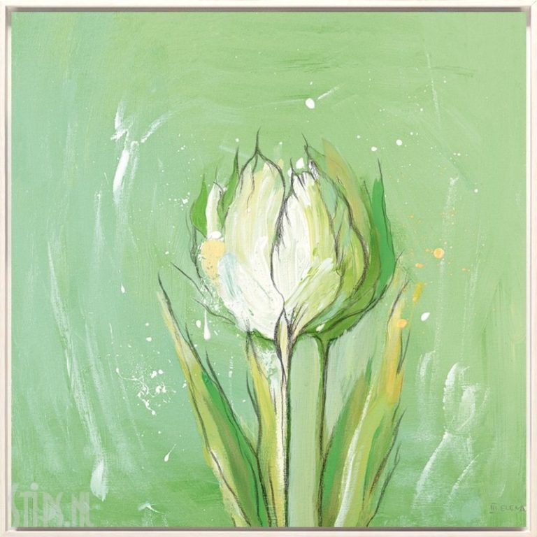 Elena Filatov schilderijen | Collectie giclees op canvas | stips.nl