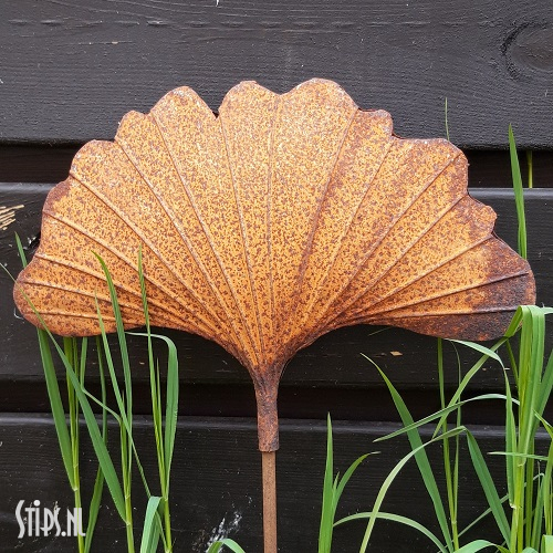 ginkgo blad klein geroest | beelden, tuinornamenten | stips.nl